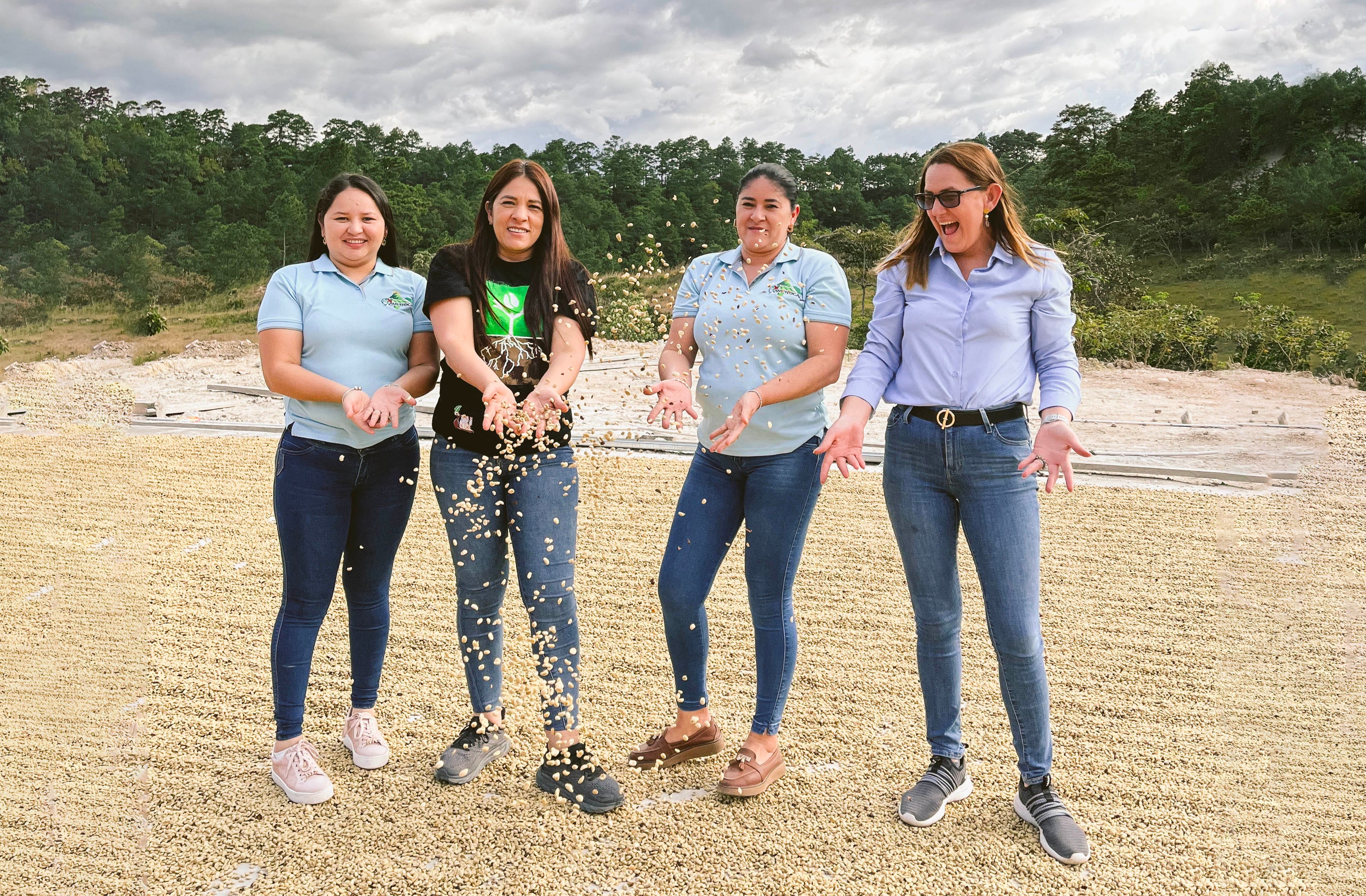 Coffee Producer Highlight - AMPROCAL – Temple Coffee Roasters